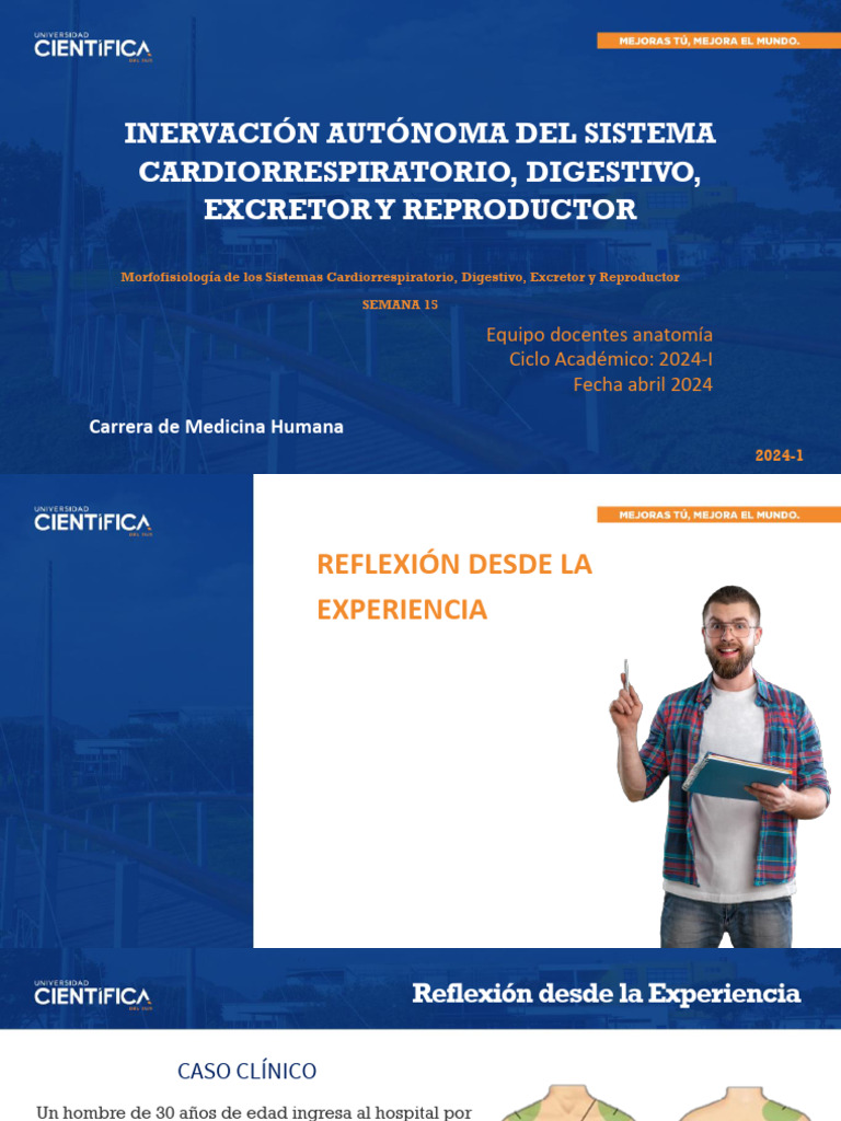 Morfofisiología de Los Sistemas Cardiorespiratorios, Digestivo ...