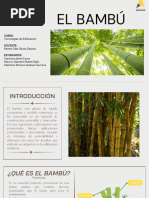 Manual de Construccion de Estructuras de Bambu | PDF