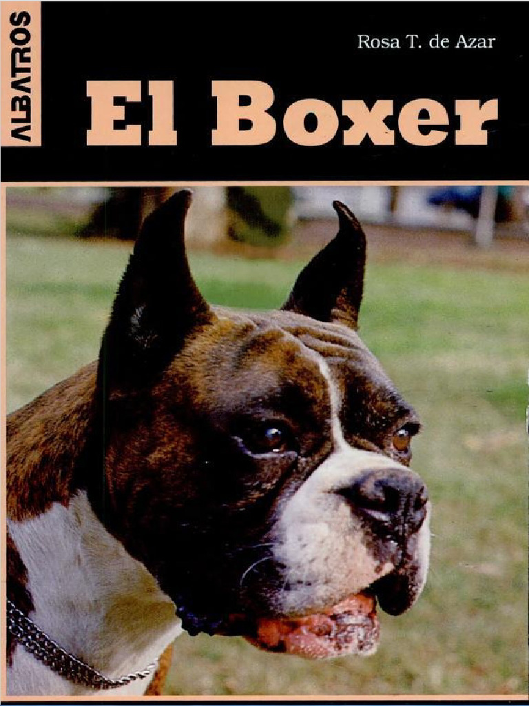 El Boxer | PDF