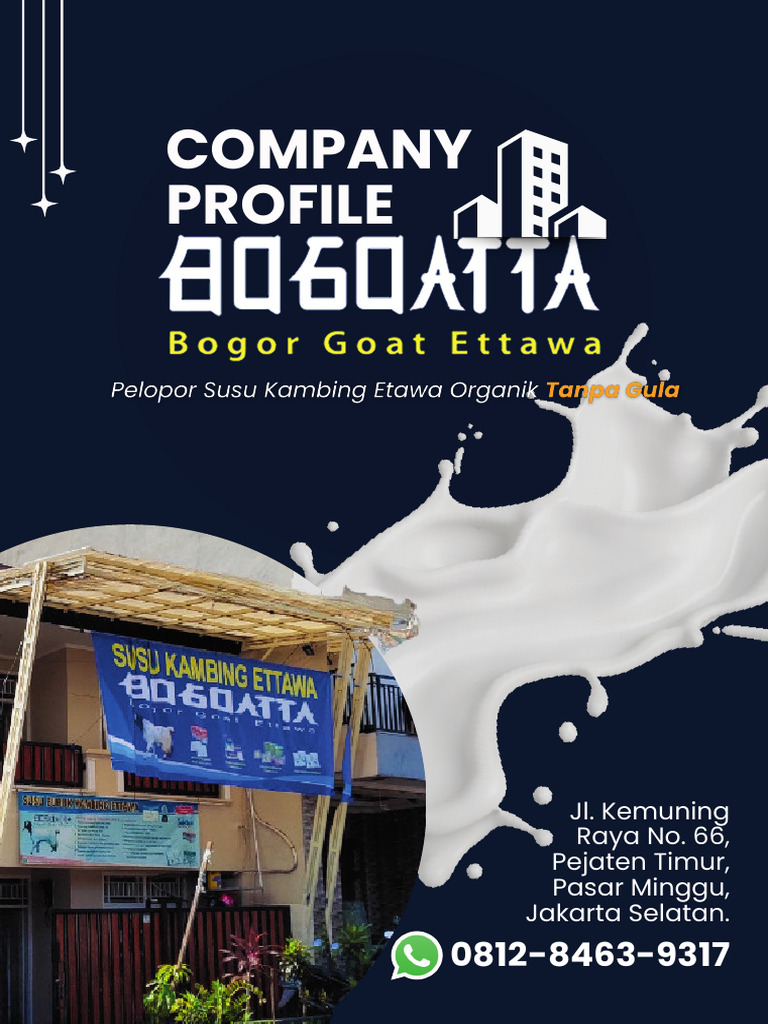 COmpany Profile Potrait | PDF