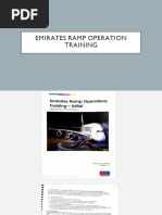 Ramp Inspection Checklist | PDF