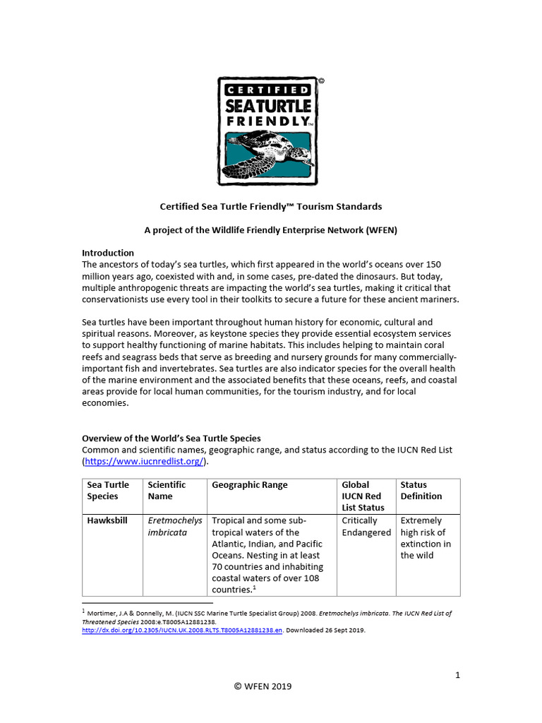 Sea Turtle Friendly Standards FINAL v2 | PDF | Sea Turtle