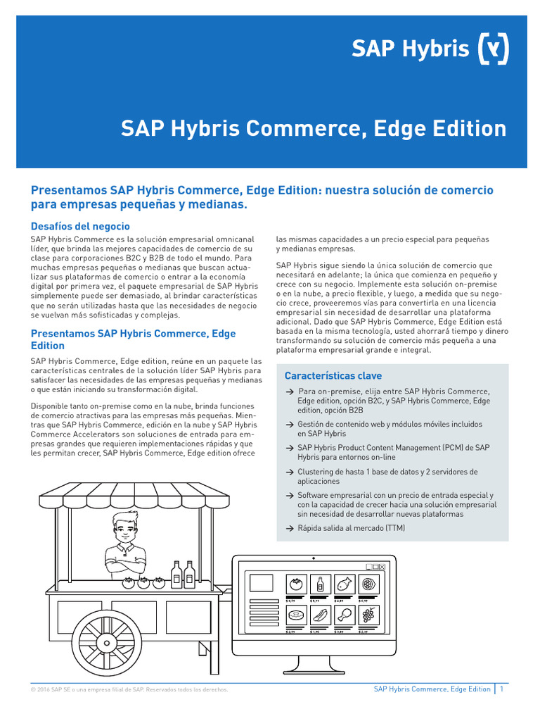 OnePage - Hybris Commerce | PDF | Software | Business
