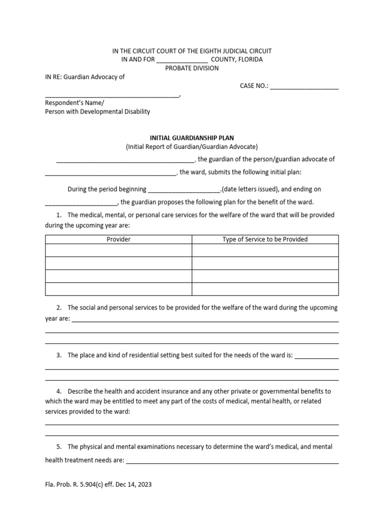 Initial Planfor Adult | PDF | Legal Guardian | Health Care