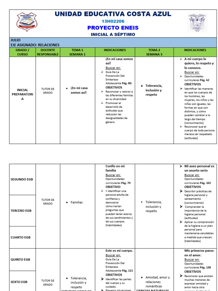 Proyecto ENEIS: Relaciones y Amor | PDF