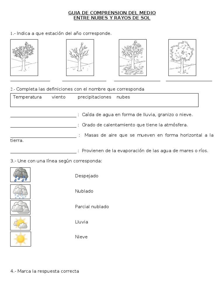 Hoja De Trabajo Sobre El Clima
