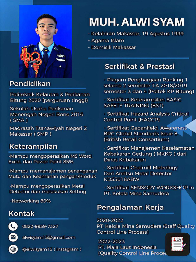 CV - Muh Alwi Syam | PDF