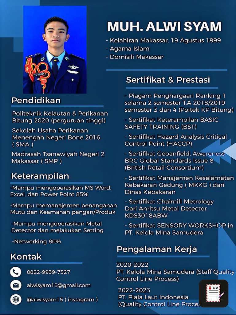 CV - Muh Alwi Syam | PDF