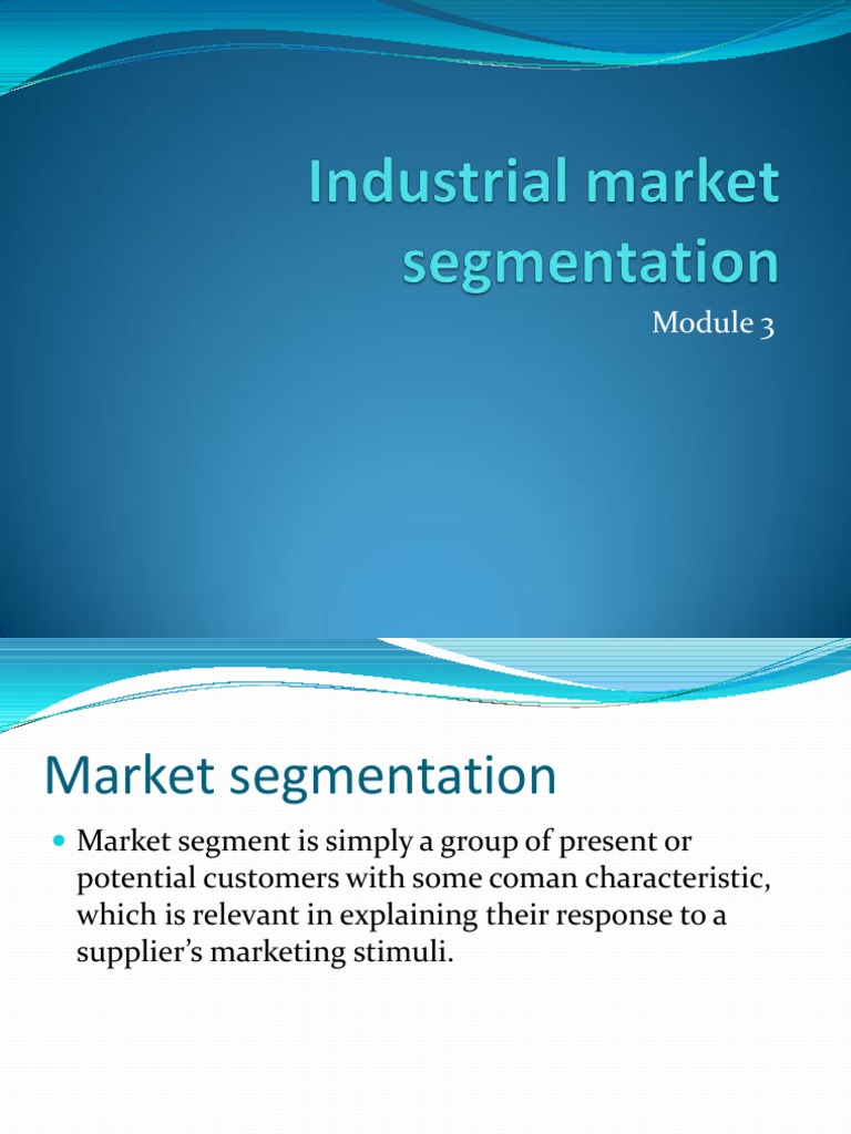 Industrial Market Segmentation Overview | PDF | Market Segmentation ...