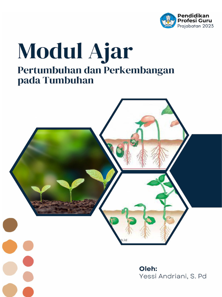 Modul Ajar Pertumbuhan Dan Perkembangan Pada Tumbuhan | PDF
