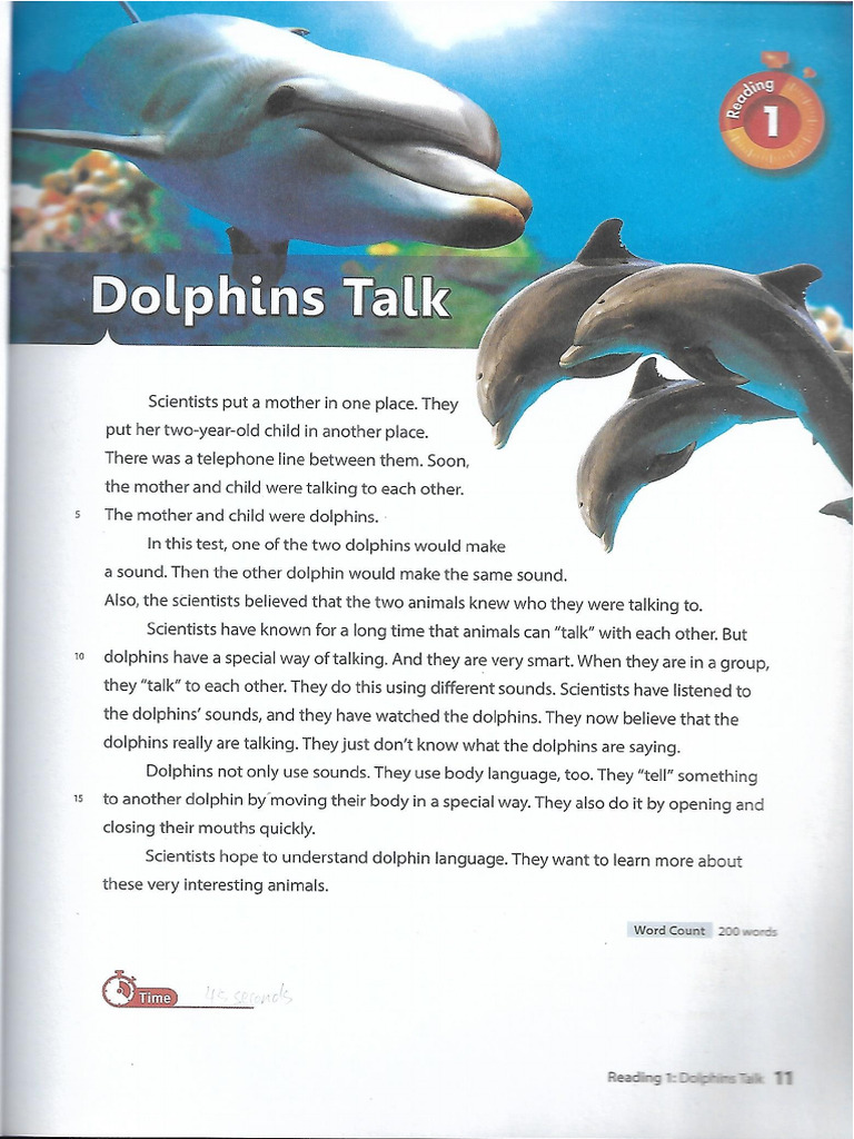 AV6 - Reading Practice | PDF