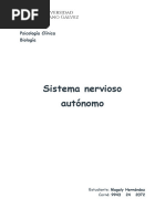 1 Region Superciliar | PDF | Cráneo | Anatomía humana