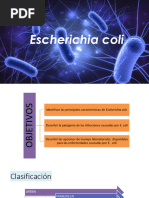 El Tratamiento Farmacológico para Escherichia Coli | PDF