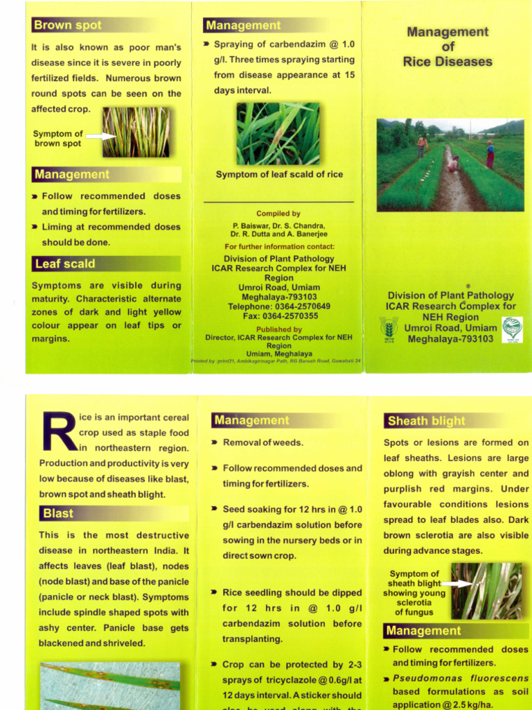 Management of Rice Diseases | PDF