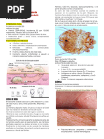 Prurigo Por Insectos | PDF | Enfermedades y trastornos | Dermatología