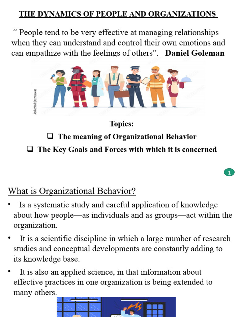 The Dynamics of PEOPLE and Organizations | PDF