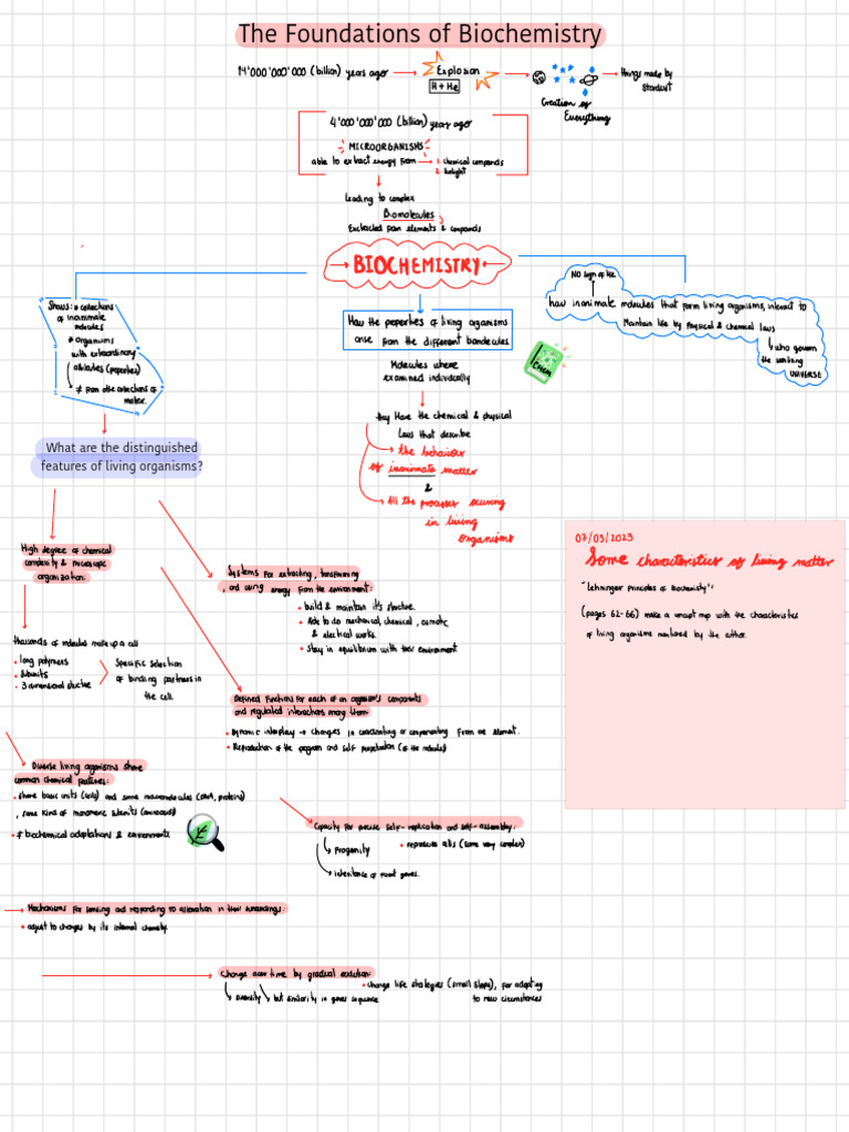 Biochemistry concept map | PDF | Chemistry | Gene