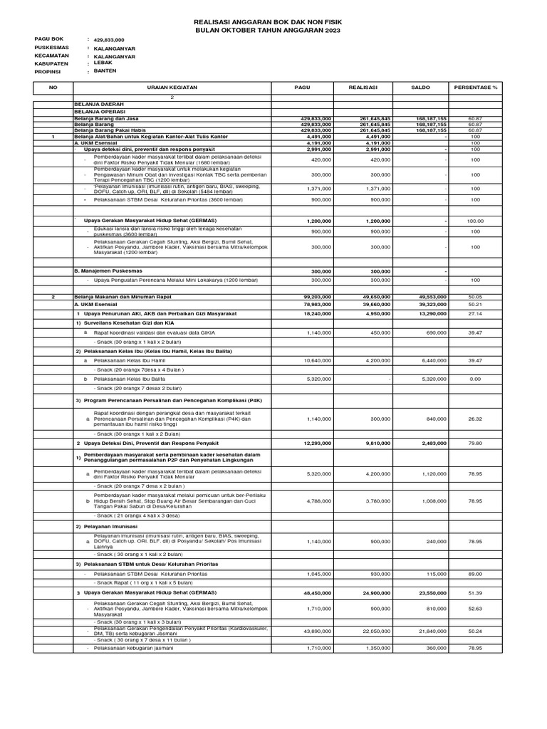 Realisasi BOK 2023 | PDF