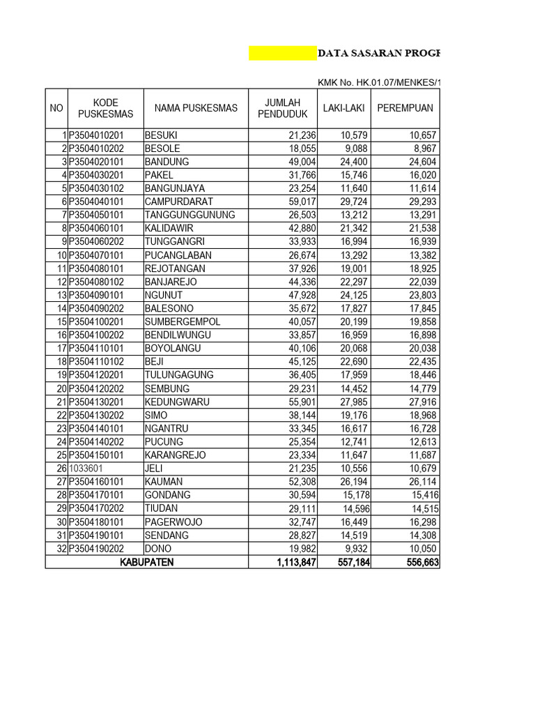 Sasaran Program Perpuskesmas 2024 Dinkes | PDF