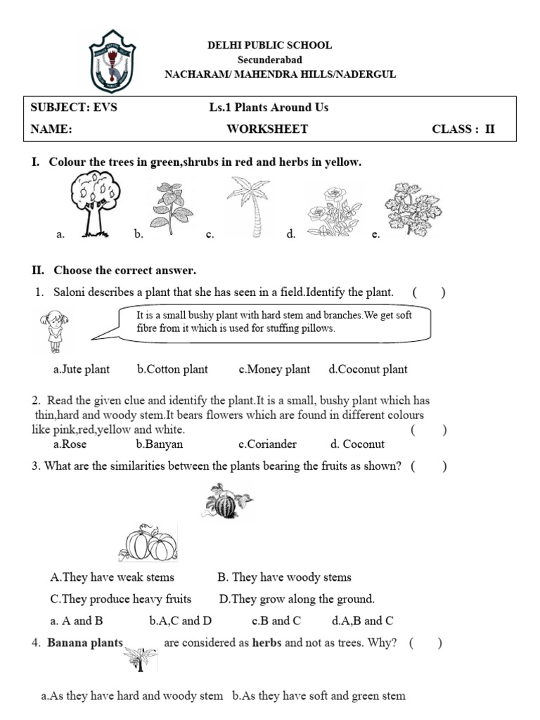 Grade 2 Test Paper | PDF | Plants | Plant Morphology