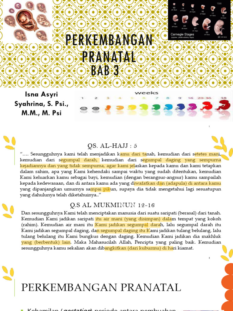 Tahapan Perkembangan Pranatal | PDF