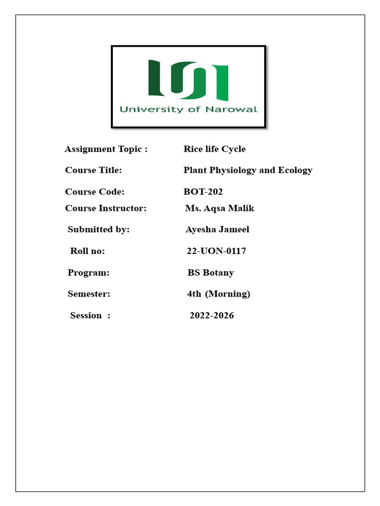 Ayesha Rice Assignment PDF | PDF