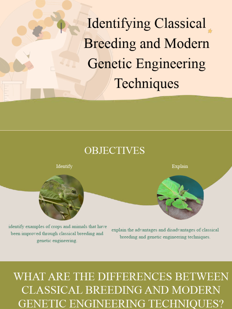 Classical Breeding Vs Genetic Engineering | PDF | Plant Breeding ...