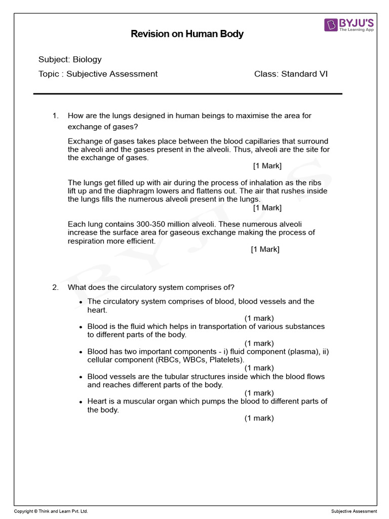 Human Body Revision 1 | PDF | Lung | Respiratory System