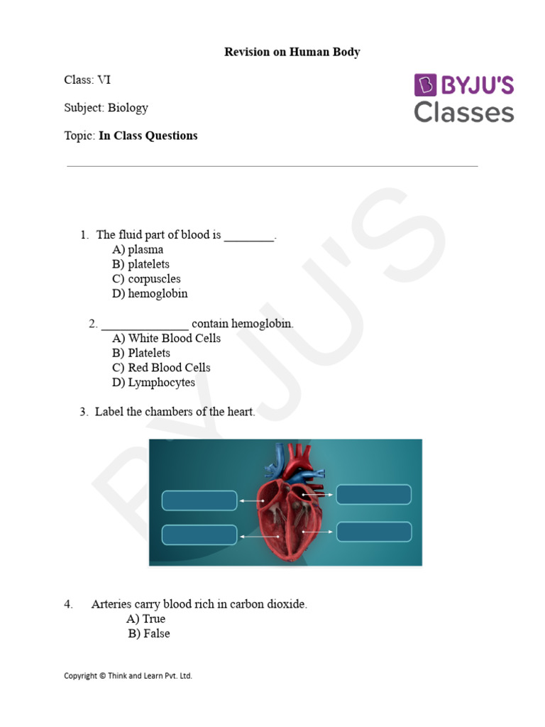 Human Body Revision 1 | PDF
