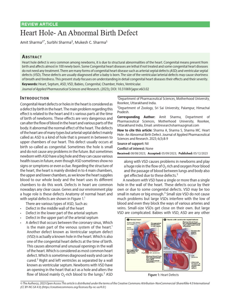 Understanding Congenital Heart Defects | PDF | Congenital Heart Defect ...