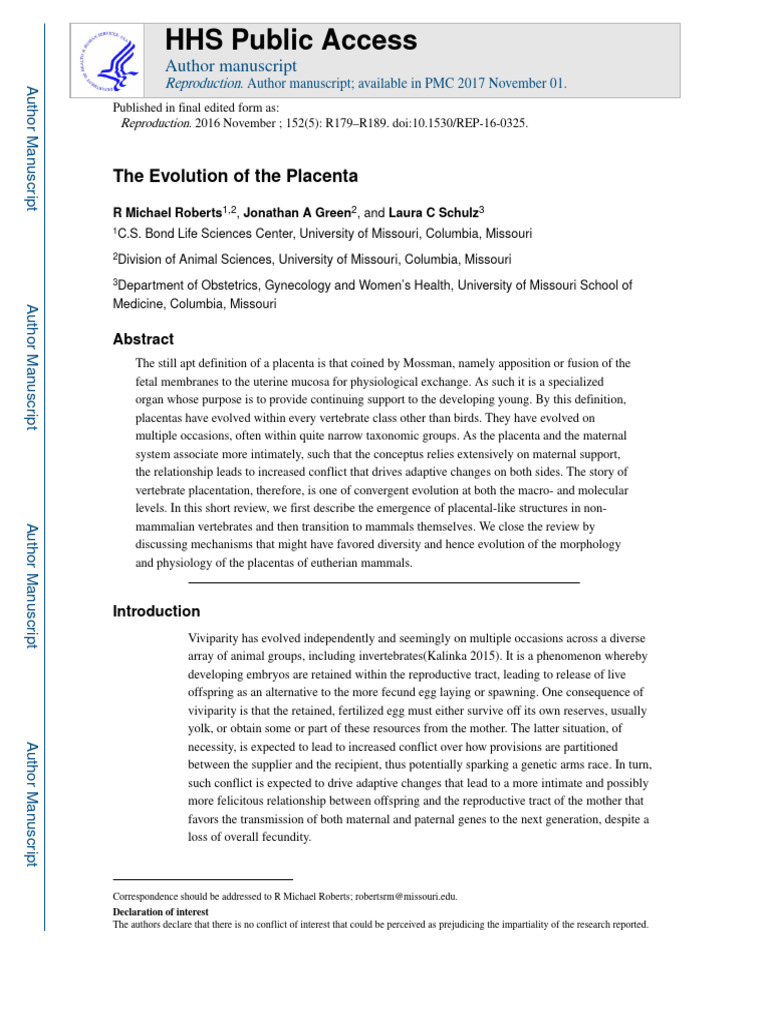 Placenta Evolution | PDF | Placenta | Egg