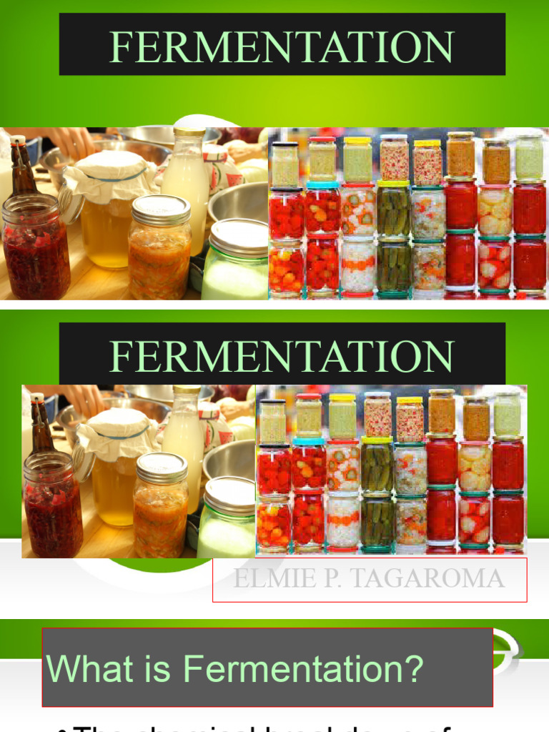 Introduction To Fermentation | PDF | Fermentation | Metabolism