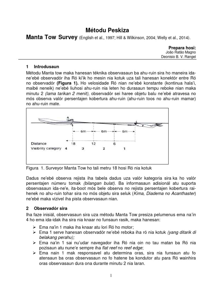 Rezenha Ba Metodu Manta Tow Survey | PDF | Relatividad general