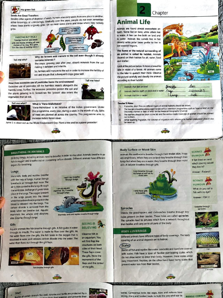 Ch-2 Animals Life | PDF | Gill | Bird Migration