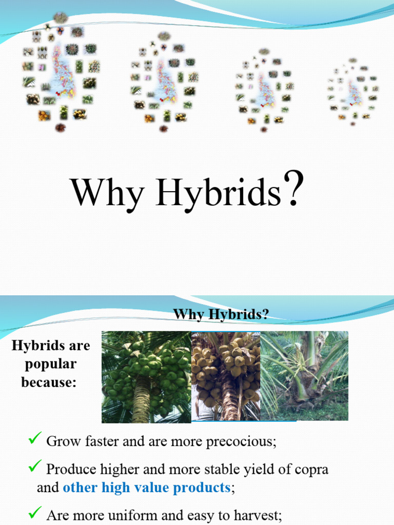Why Hybrids | PDF | Edible Plants | Agriculture