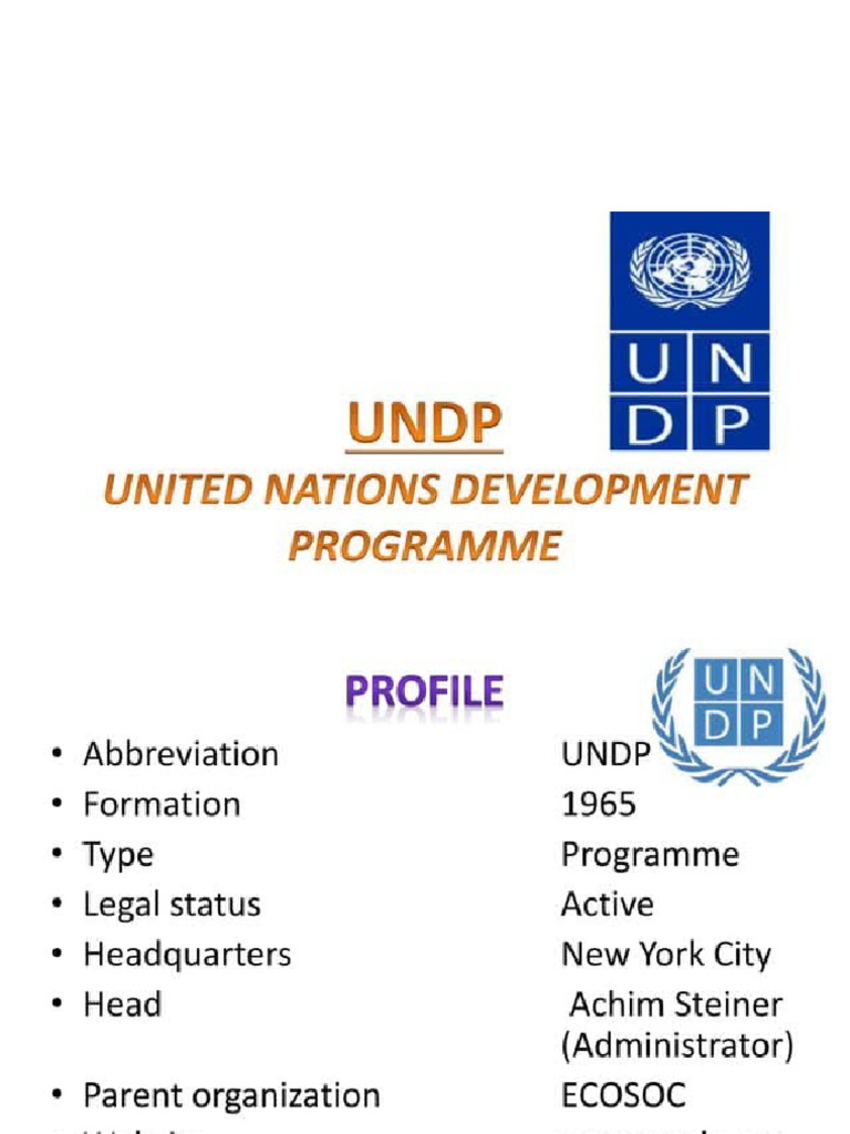 UNDP | PDF