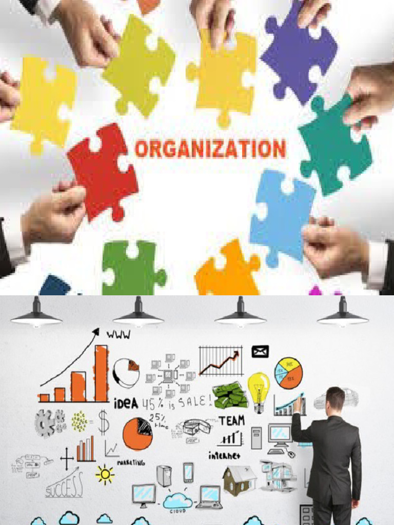 Principles of Organisation | PDF | Organizational Structure | Communication
