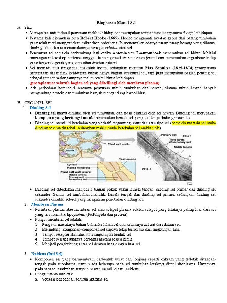 Ringkasan Materi Sel | PDF