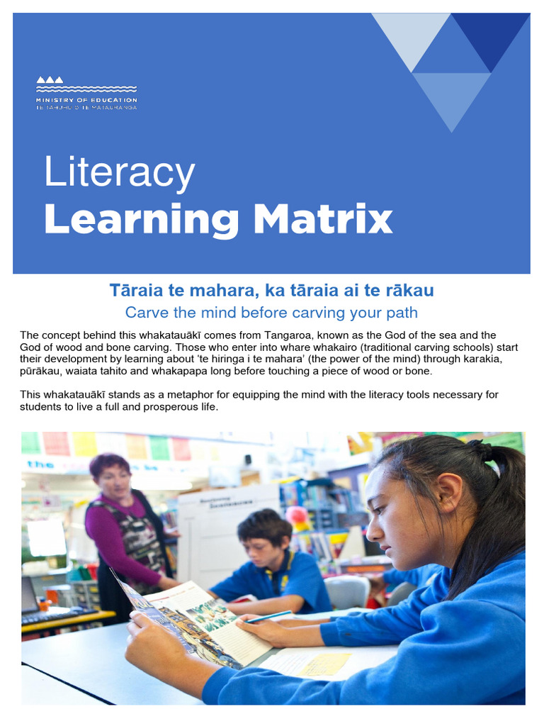 Literacy Learning Matrix (A4) - 0 - 0 | PDF | Reading Comprehension | Learning