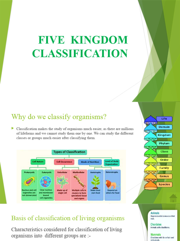 5 Kingdoms | PDF | Life Sciences | Biological Classification