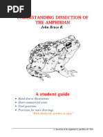 Jjeb P2 Uace 2024 | PDF