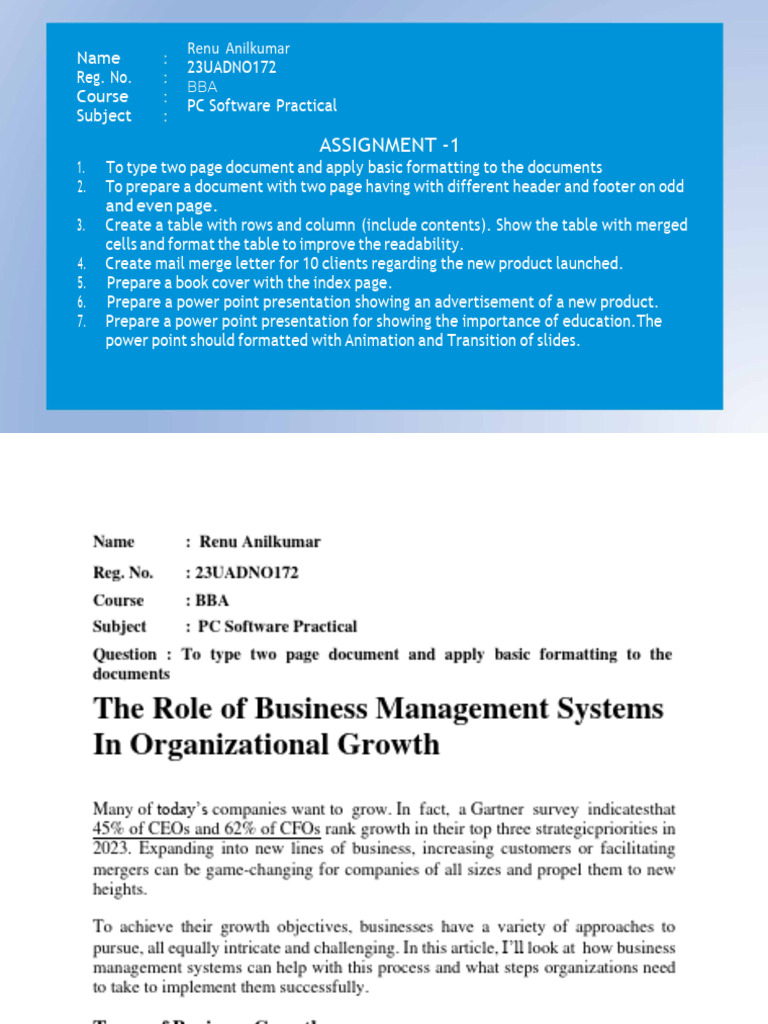 Renu Anilkumar Assignment1 | PDF | Microsoft Excel | Microsoft Word