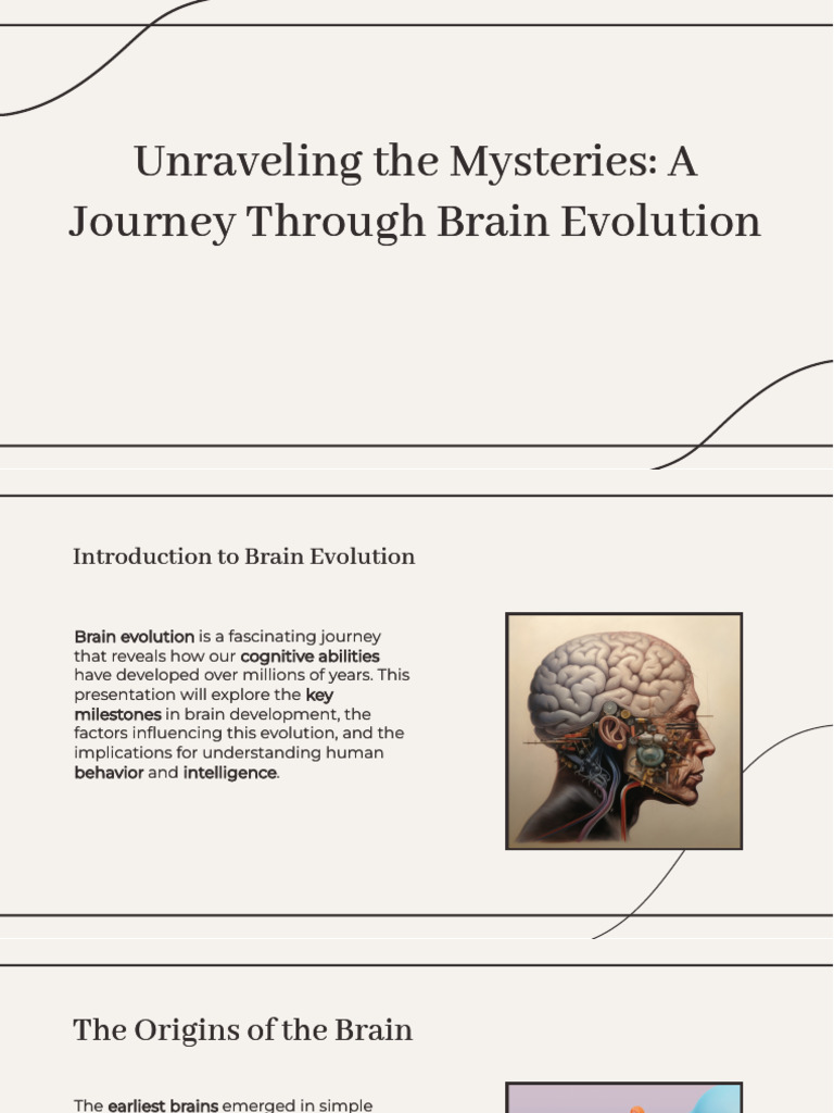 Unraveling The Mysteries: A Journey Through Brain Evolution Unraveling ...
