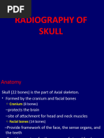 Cross Sectional Anatomy2 | PDF | Skull | Musculoskeletal System