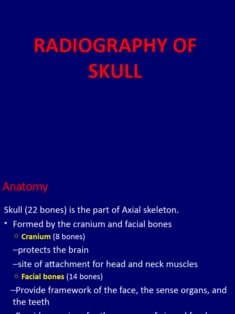 1-Radiography of Skull | PDF | Human Nose | Skull