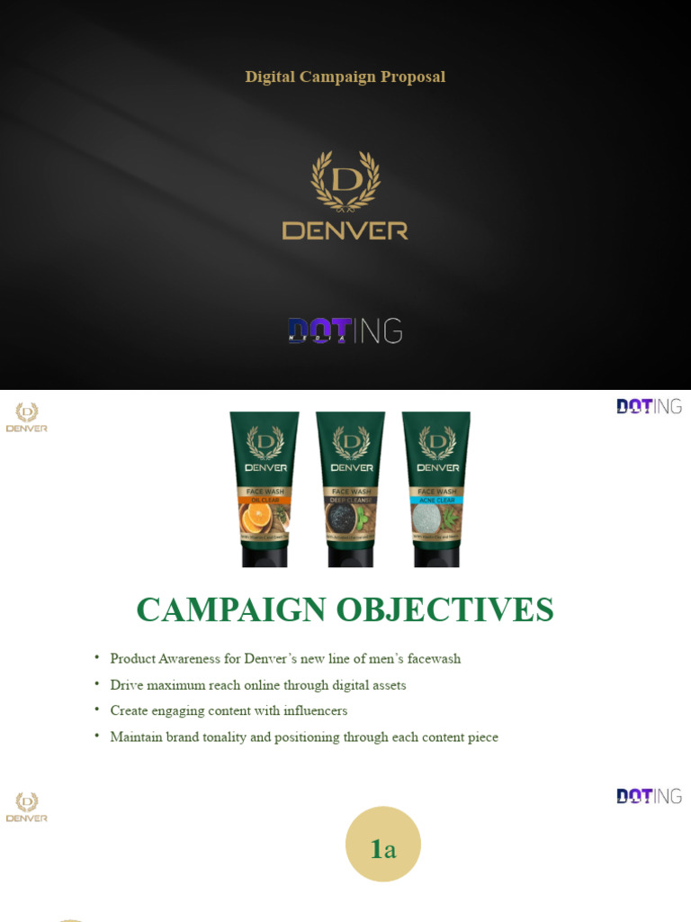 Denver Face Wash Digital Campaign Plan | PDF | Social Science