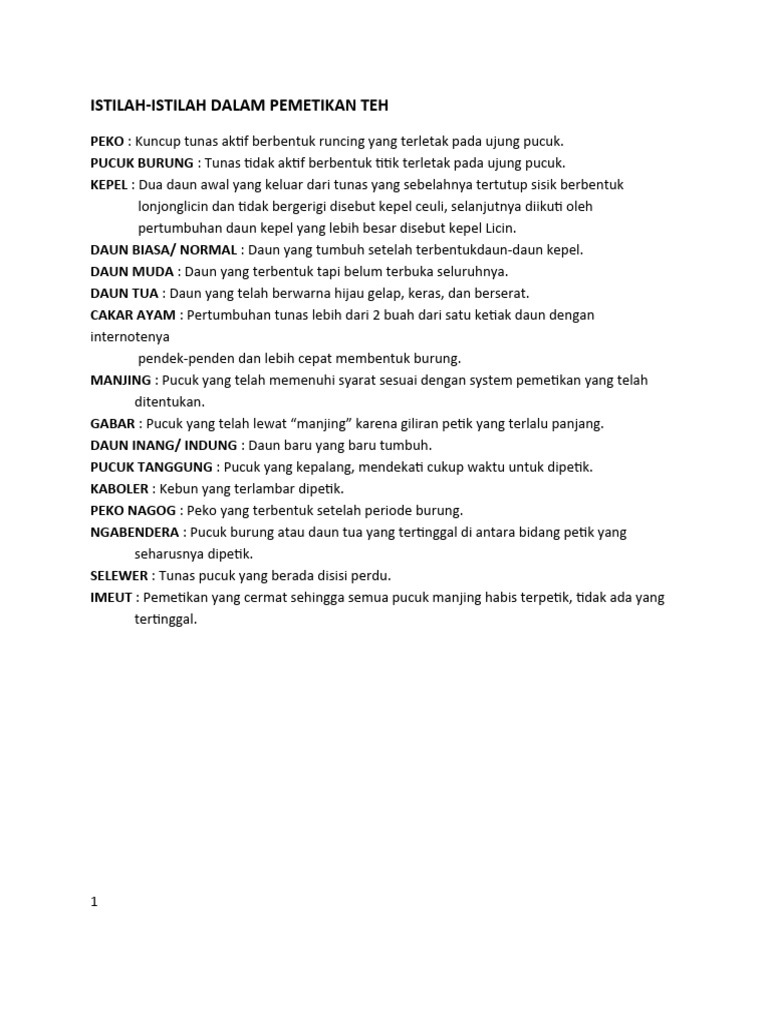 Istilah Pada Pemetikan Teh | PDF
