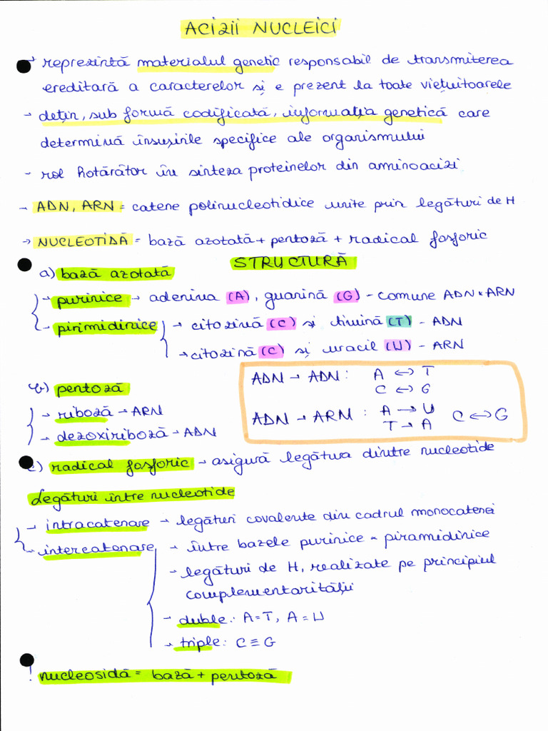 Acizii Nucleici | PDF