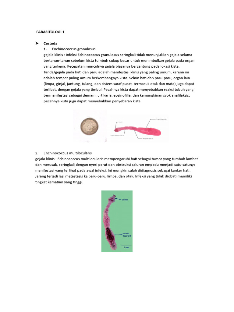 Parasitologi Cestoda | PDF | Pengembangan Diri | Kesehatan Holistik