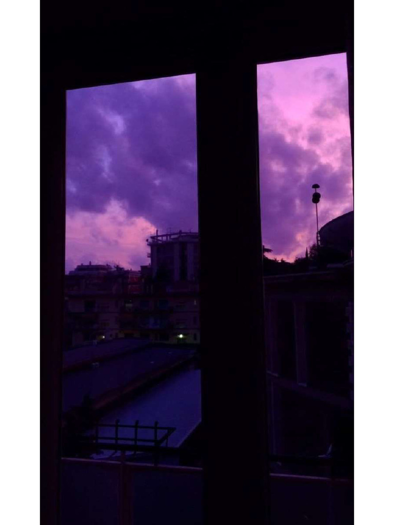 08E6E77D-63B6-4072-A696-67F2FBF446E1 | PDF